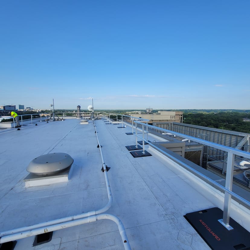 Photo Gallery | Kattsafe