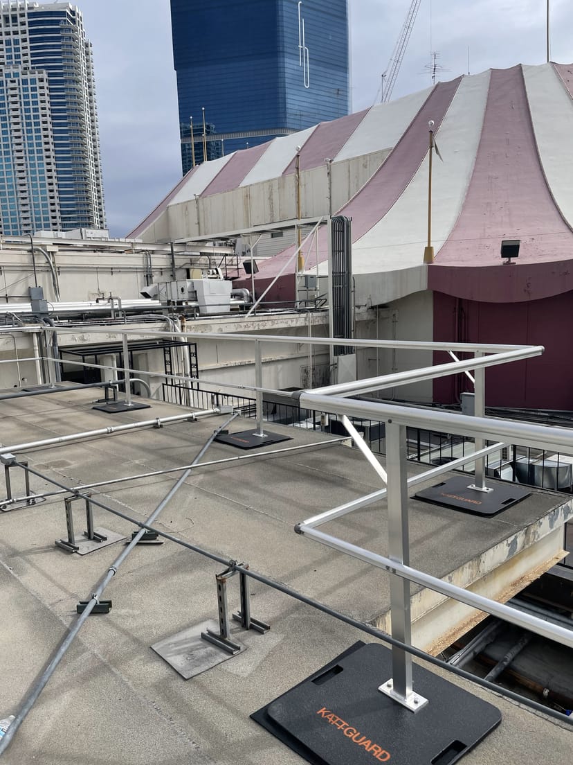 Photo Gallery | Kattsafe