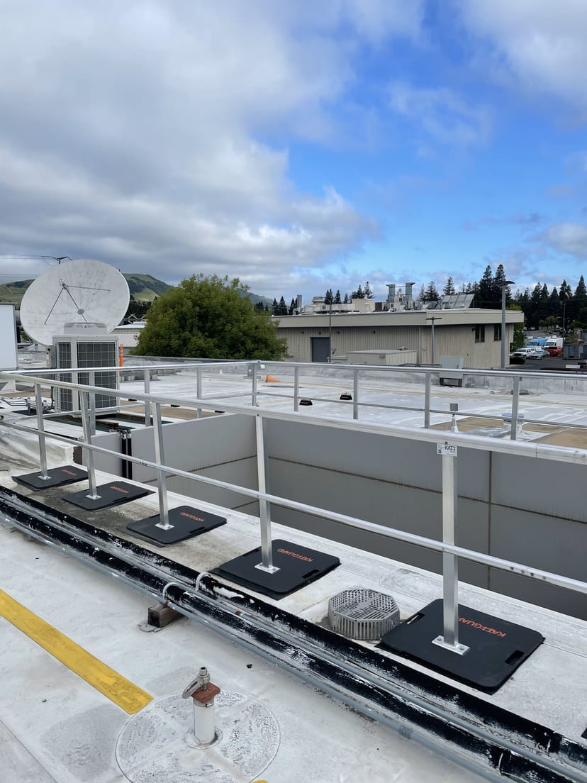 Photo Gallery | Kattsafe