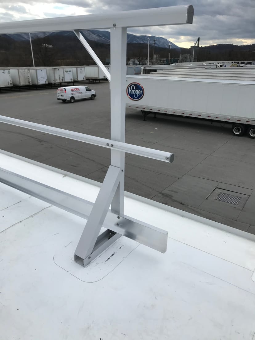 Photo Gallery | Kattsafe