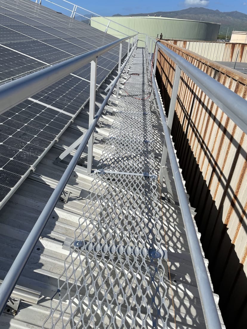 Photo Gallery | Kattsafe