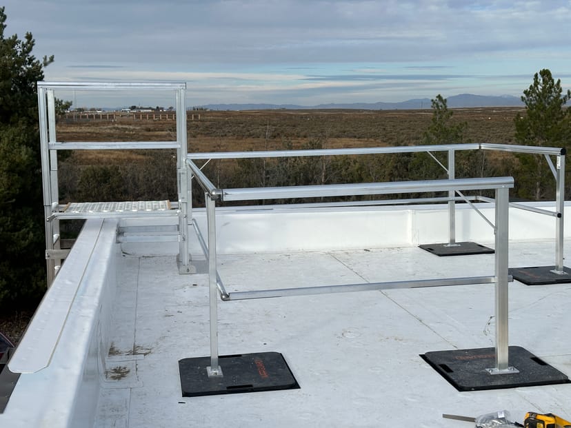 Photo Gallery | Kattsafe